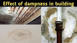 What Are The Causes & Effect Of Dampness In Building