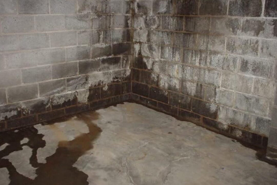 Problems In Building During Rainy Season : Causes & Solution