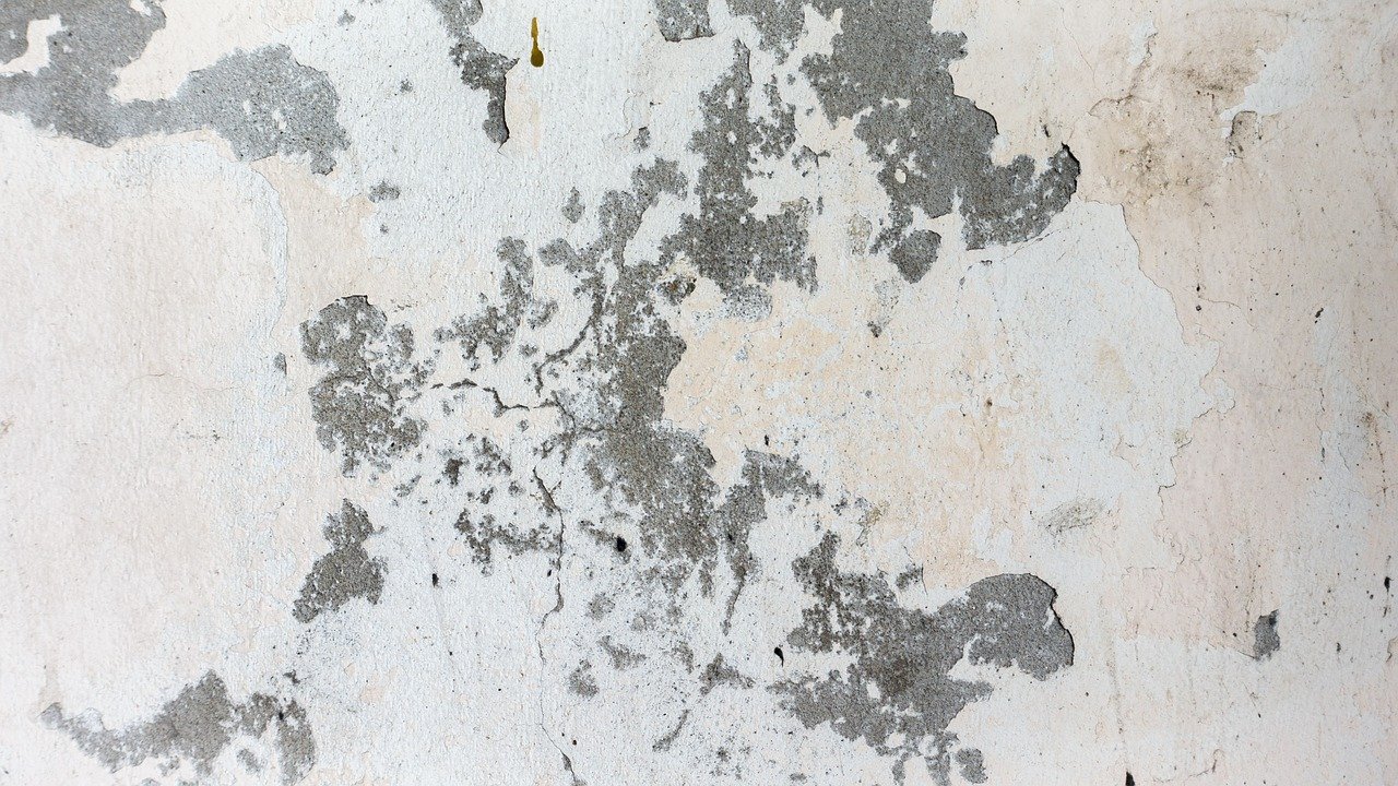 Problems In Building During Rainy Season : Causes & Solution