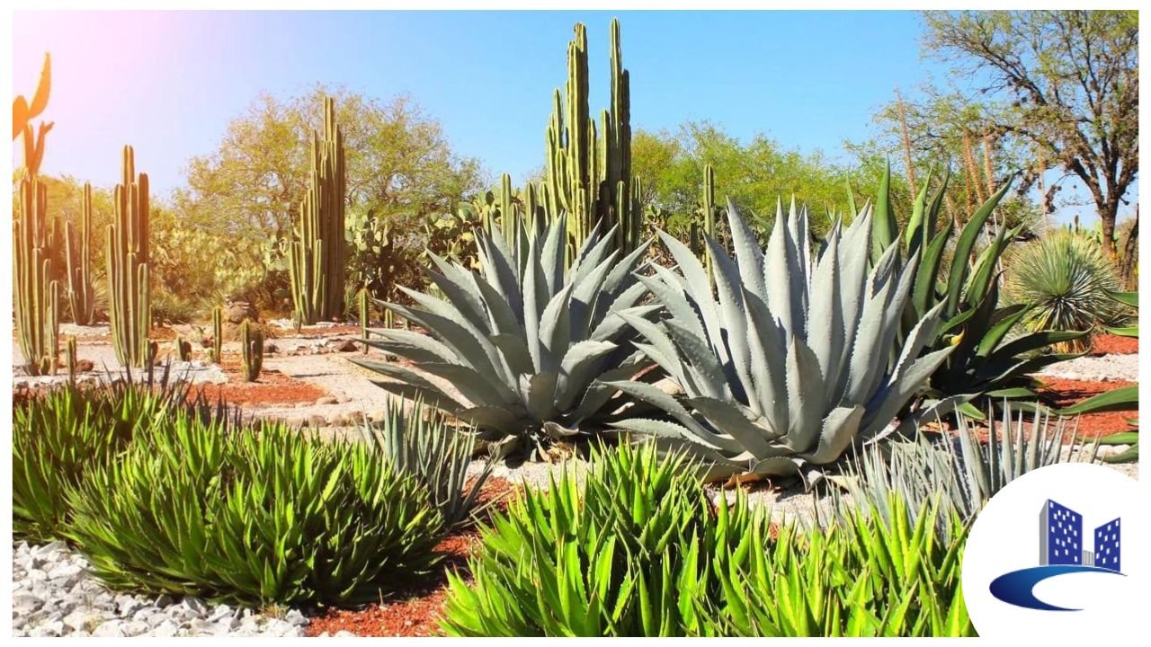 Best Plants For Outdoor Garden | Outdoor Wall Planters Ideas
