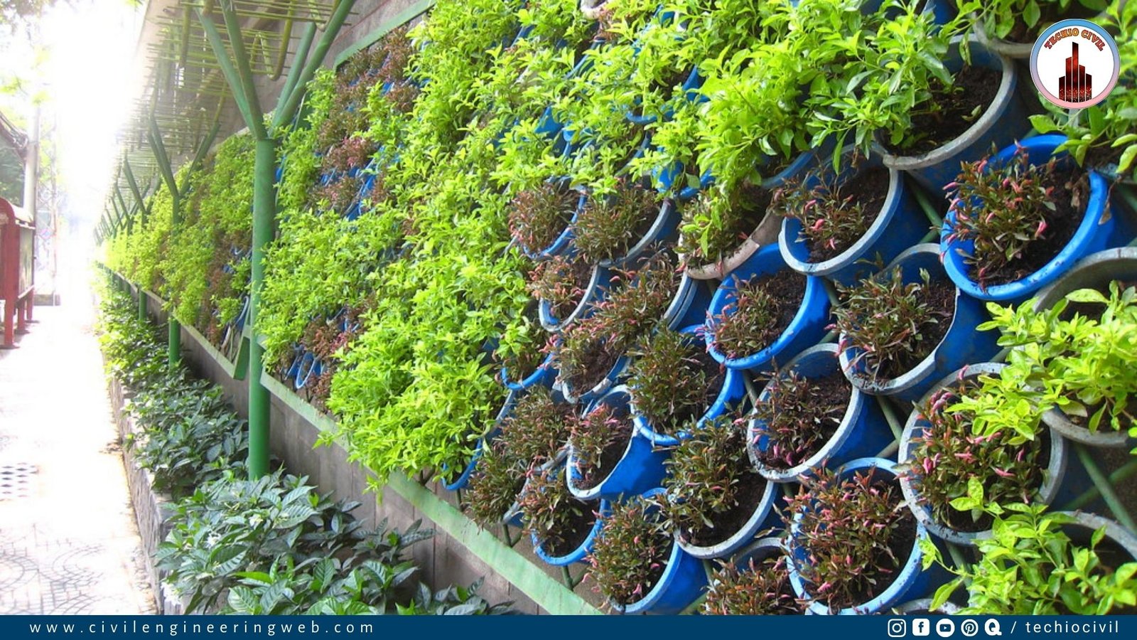 Vertical Gardening - Best Way To Grow Plants At Your Home